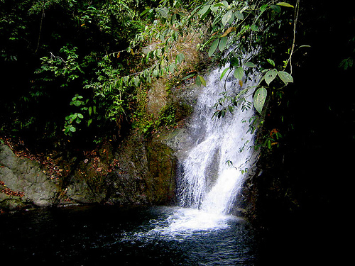 WATERFALLS IN THE PHILIPPINES: DIMASALANG WATERFALLS IN AURORA
