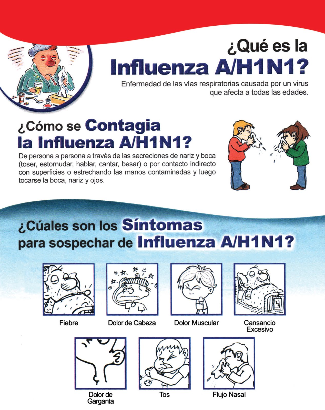 CBIT "SUR AMERICA": INFORMACIÓN SOBRE LA INFLUENZA AH1N1
