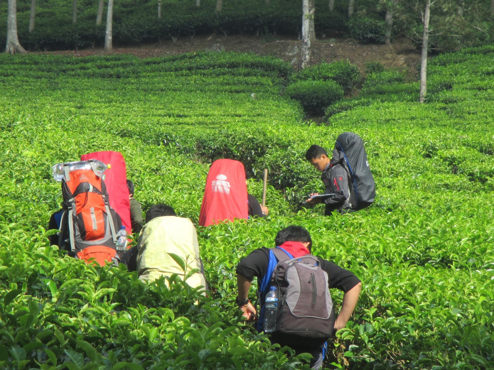 MATRAPALA STTR CEPU: PENGETAHUAN DASAR BAGI PENDAKI PEMULA