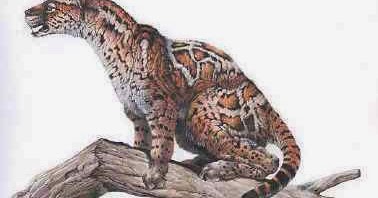 Mundo Pré-Histórico: Proailurus