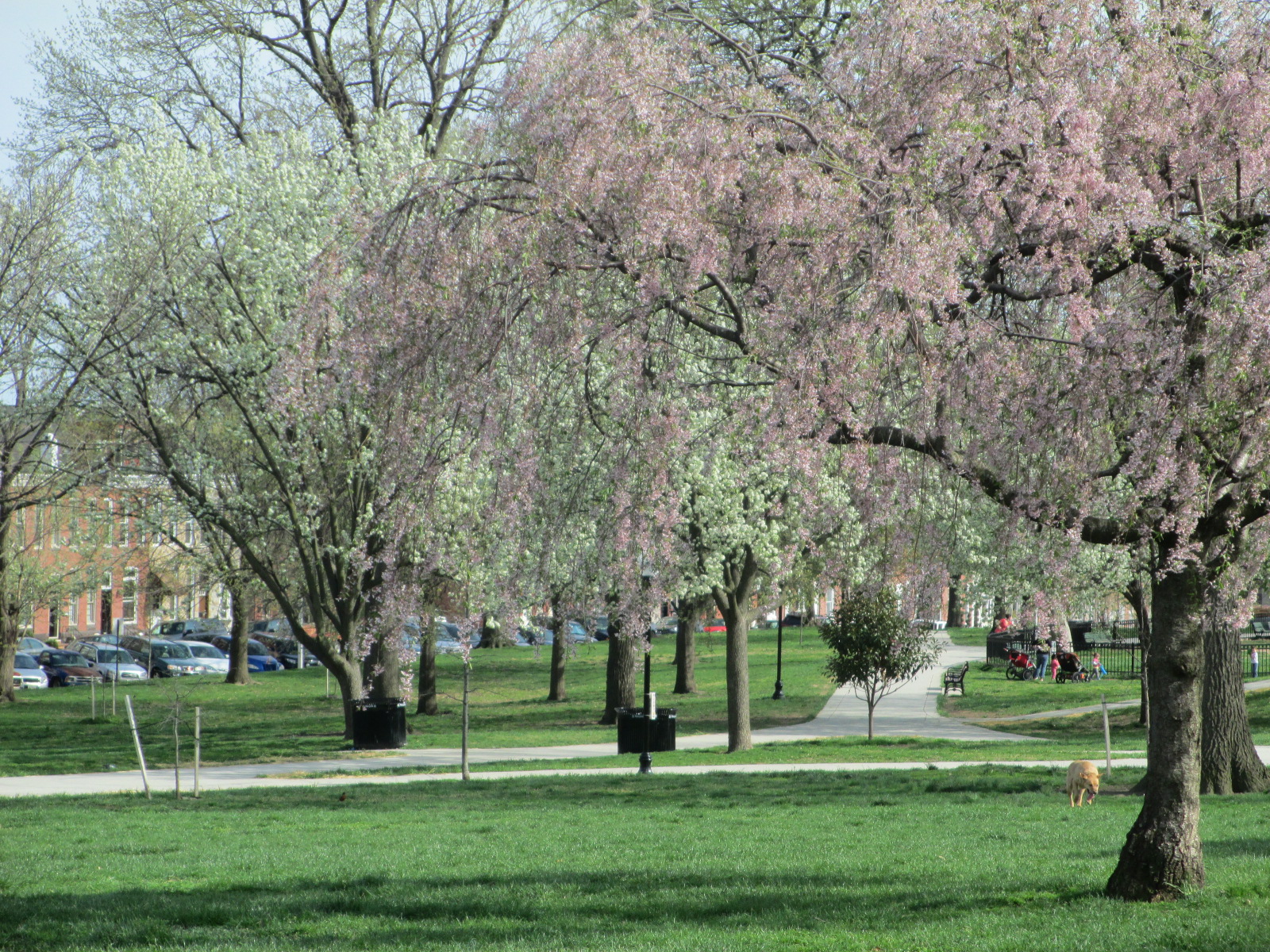 Baltimore You are Marvelous: Riverside Park, South Baltimore