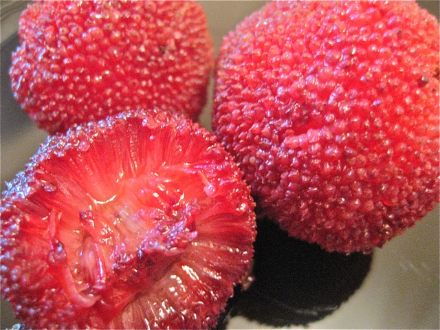 The Tower of Babel: Exotic Fruits (Engl) (IT) (Esp)