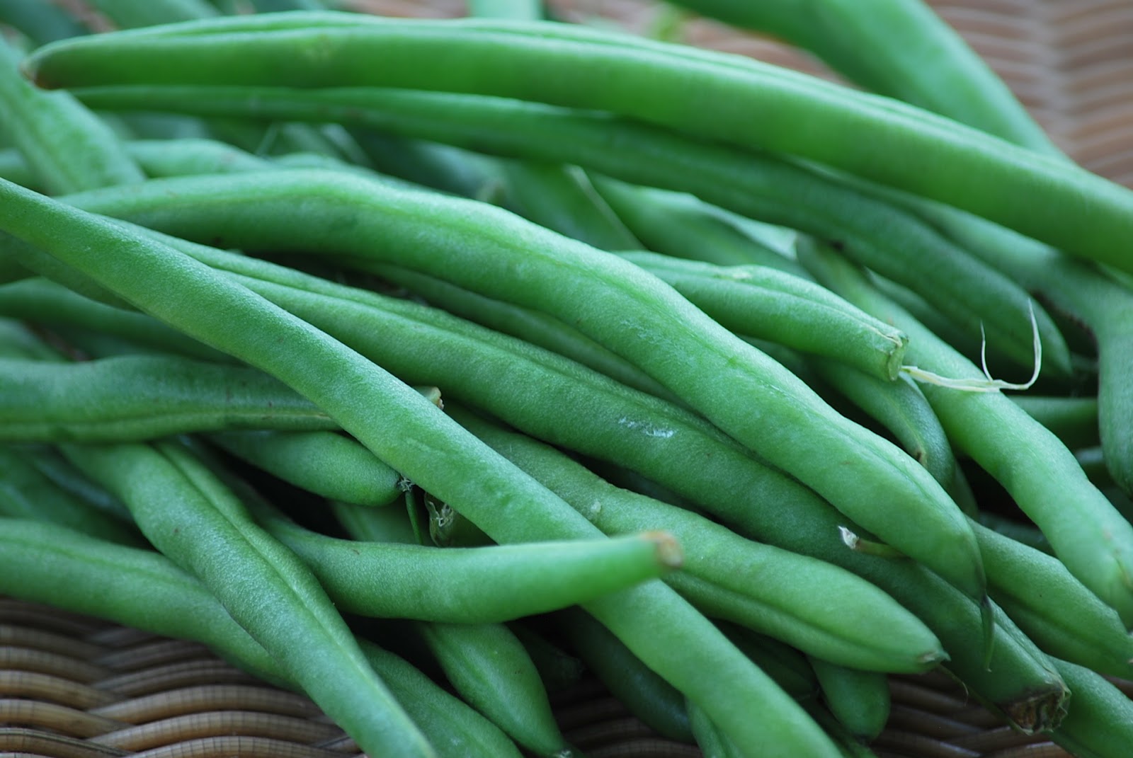 My story in recipes: Roasted Green Beans