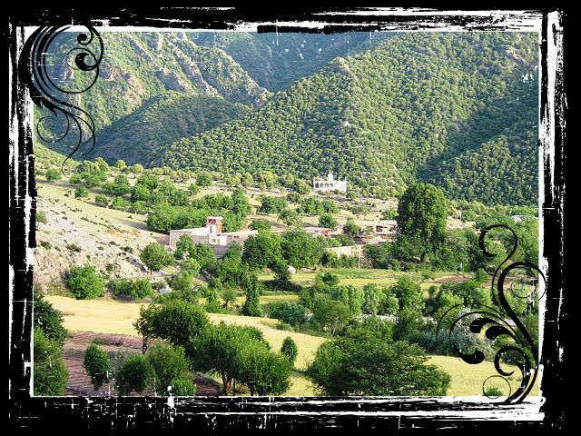 Spreebird: Parachinar