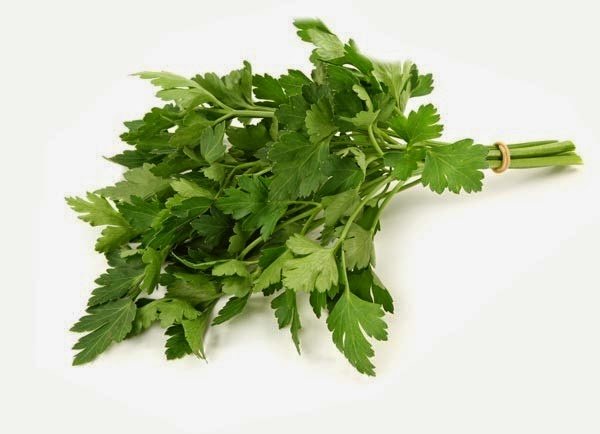 8 Manfaat Seledri bagi Kesehatan Tubuh | Rickypedia