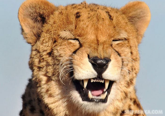 Beautiful World : Today's Collection of the Most Amazing and Funny Pics