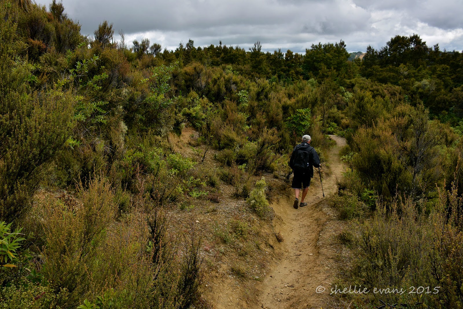 Two Go Tiki Touring: Blowhard Bush & a Tomtit