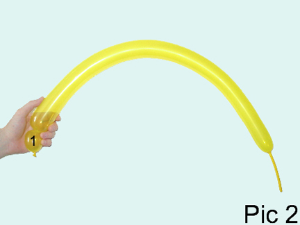 CLASSICAL: Balloon chicken