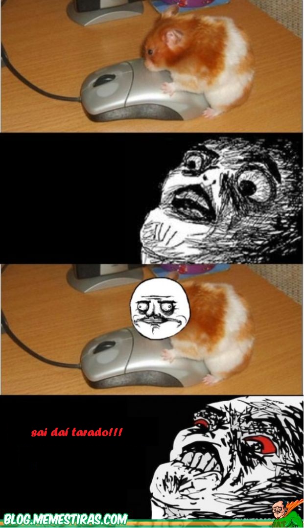 Obalaiodegato: MEME DO DIA - ratinho tarado