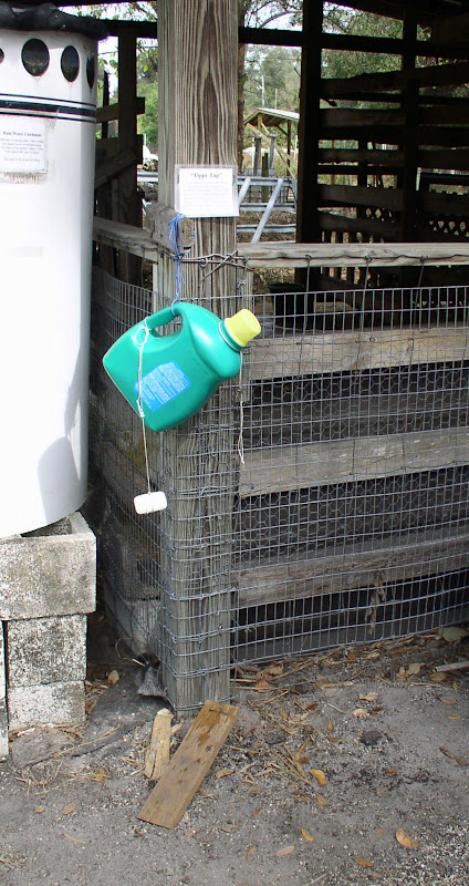 Walkabout with Becky: ECHO and the Global Village