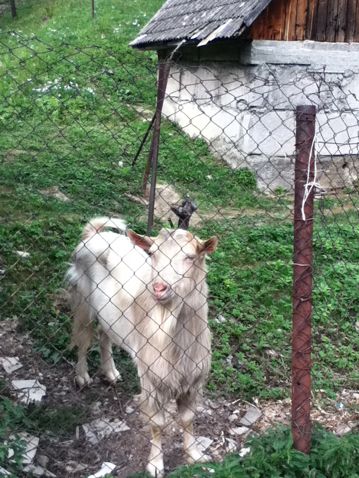 Helgas travels: Velke Pole (Hochwies), Slovakia