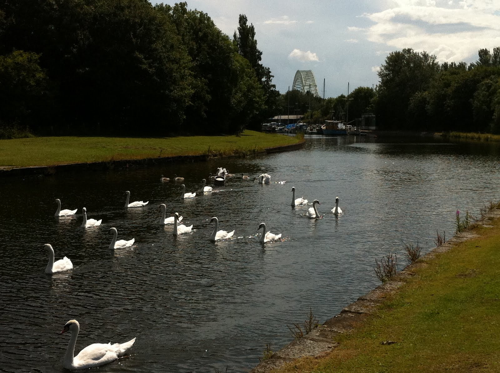 towpath treks: the blog: Sankey Brook Canal