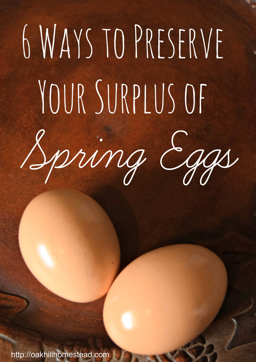 6 Ways to Preserve Eggs - Oak Hill Homestead