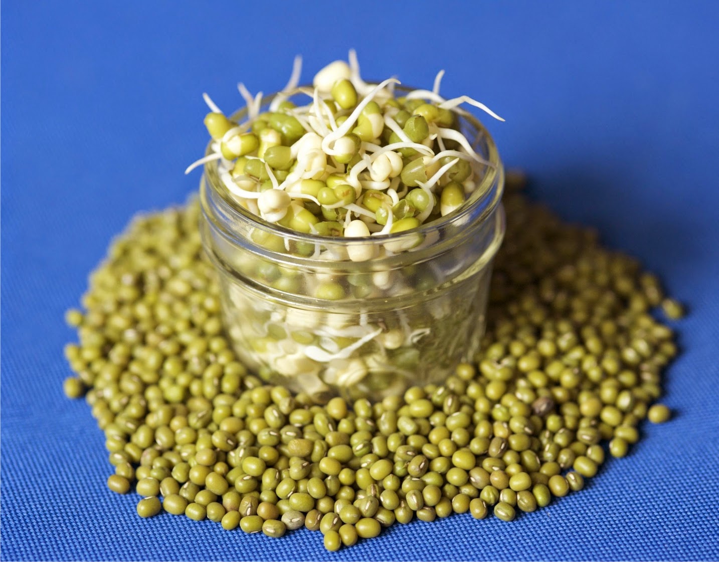 The Schaapkraal Diaries: 13 April - Sowing the seeds of love