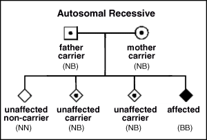 Maple Syrup Urine Disease: Types of MSUD