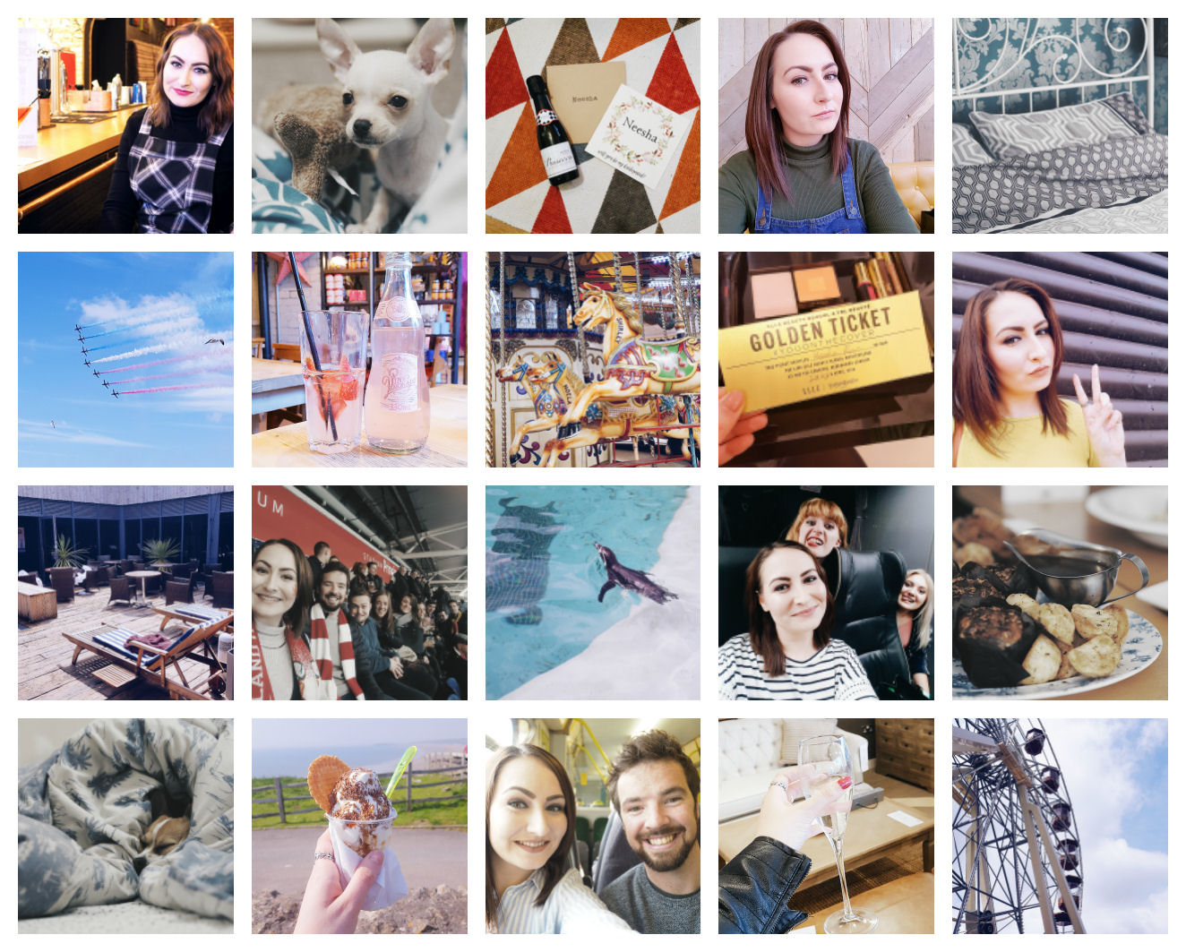 A Look Back at 2016 - The Fun Money Club