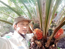 TC CILACAP.COM: JENIS PARIT DI PERKEBUNAN KELAPA SAWIT