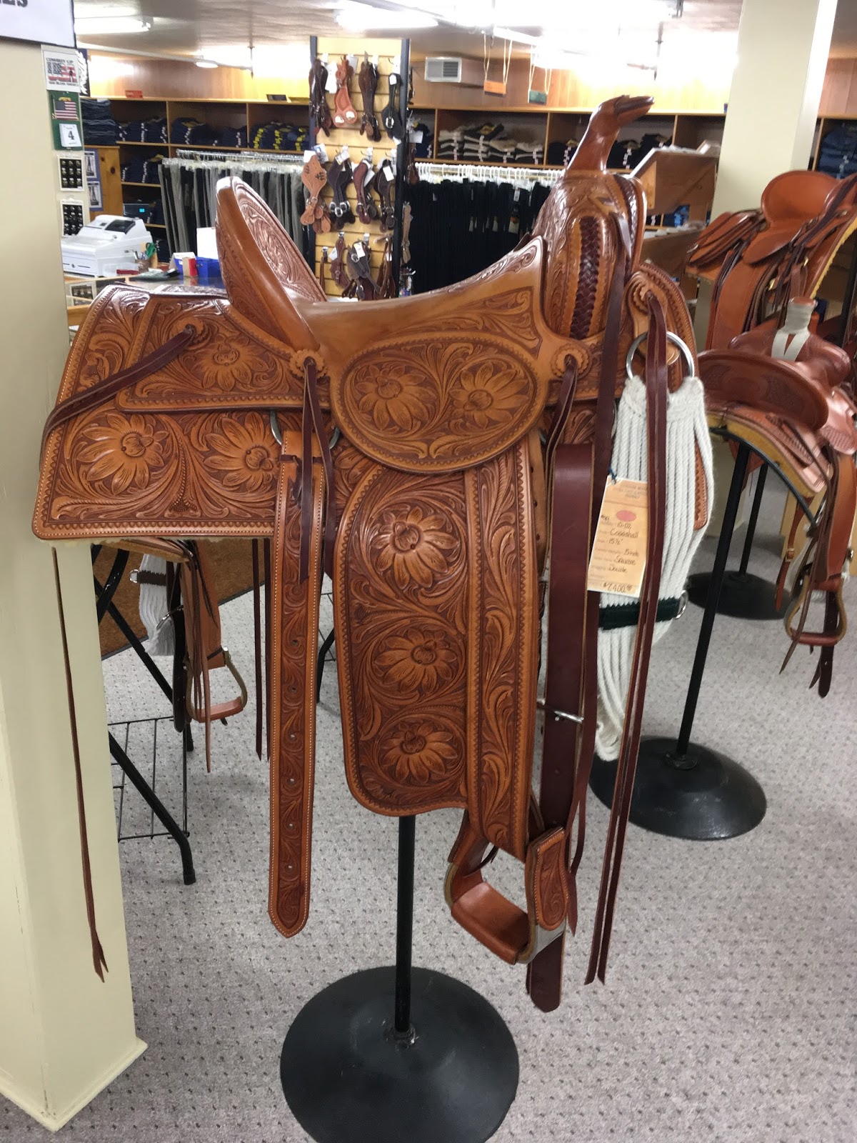 Saddles? | Colt Forum