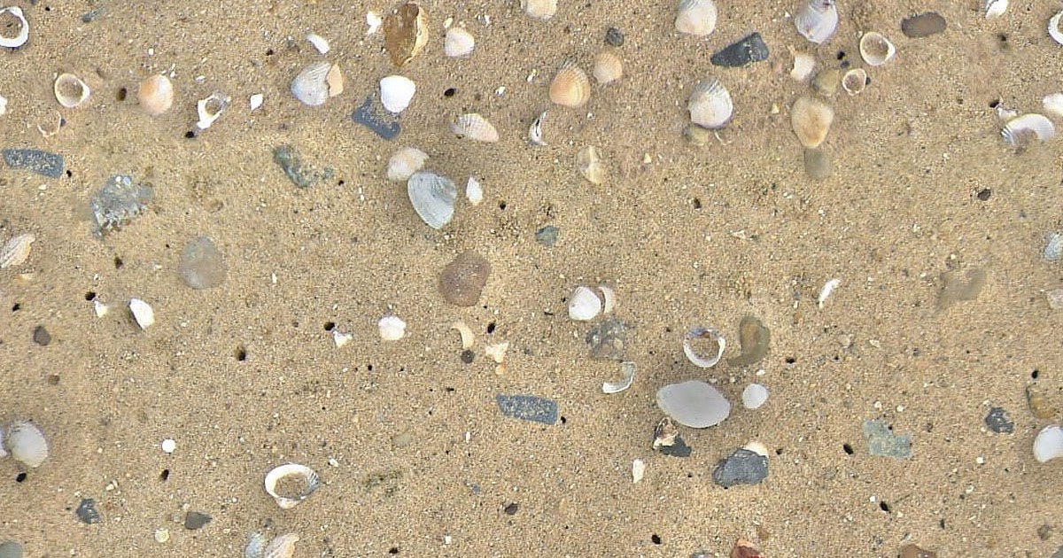 Seamless Beach Sand and Shells Texture + Bump Map | Texturise Free ...