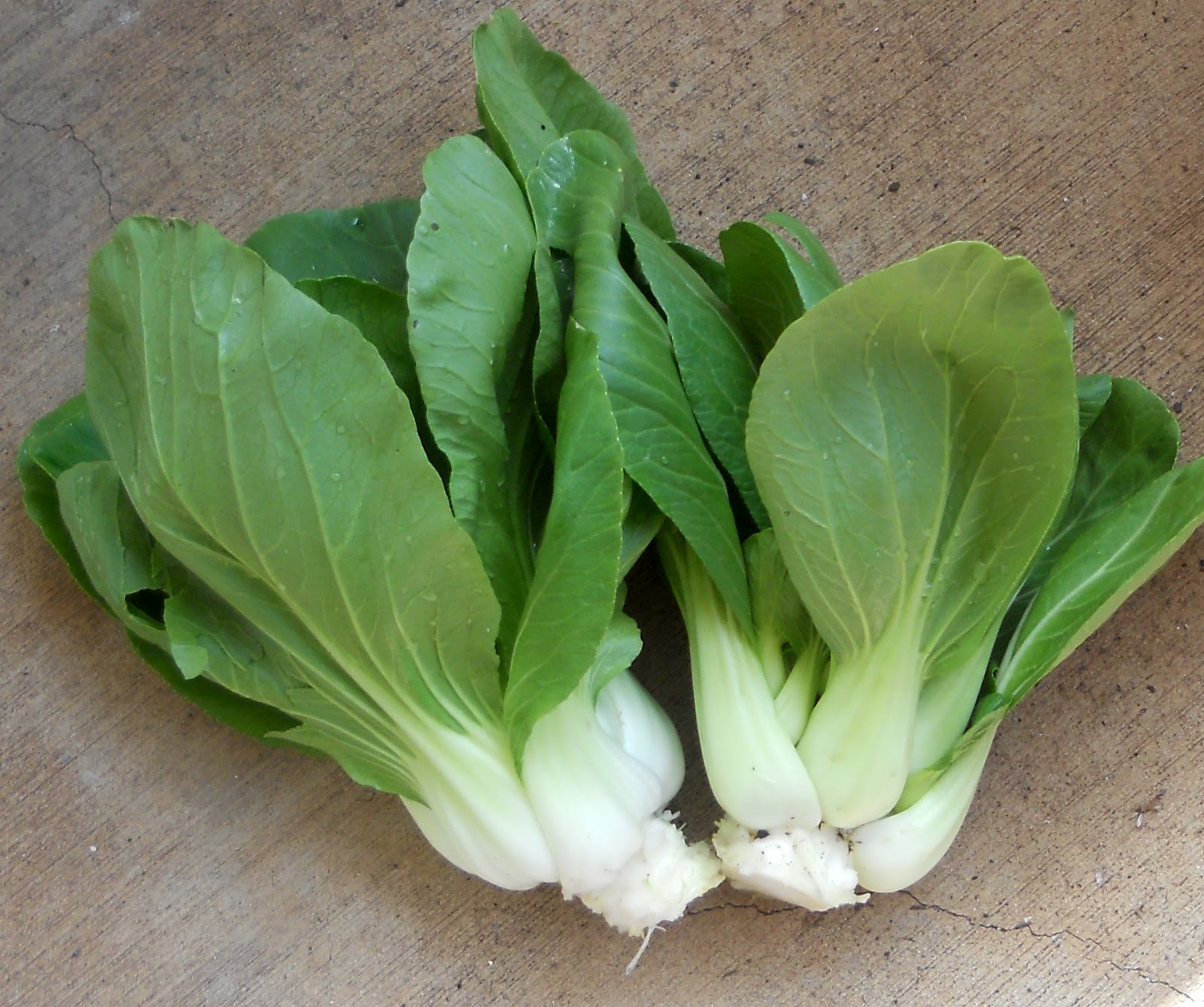 A Kitchen Garden in Kihei Maui: A Few Heirloom Asian Greens