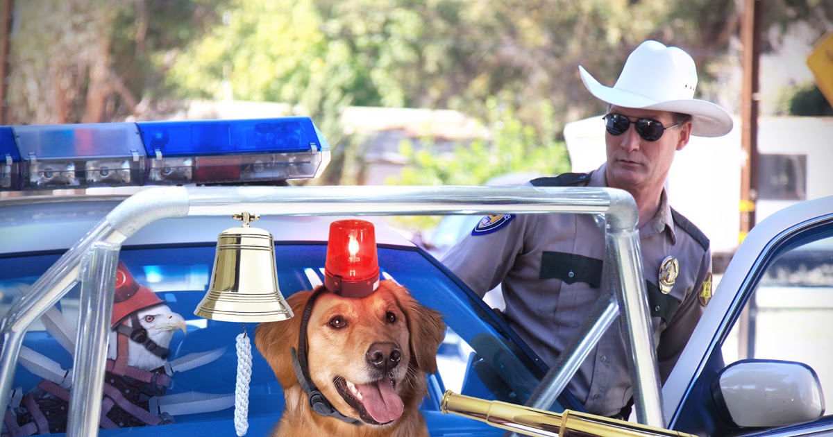 True American Dog: DOG BRINGS POLICE CAR INTO THE 21ST CENTURY