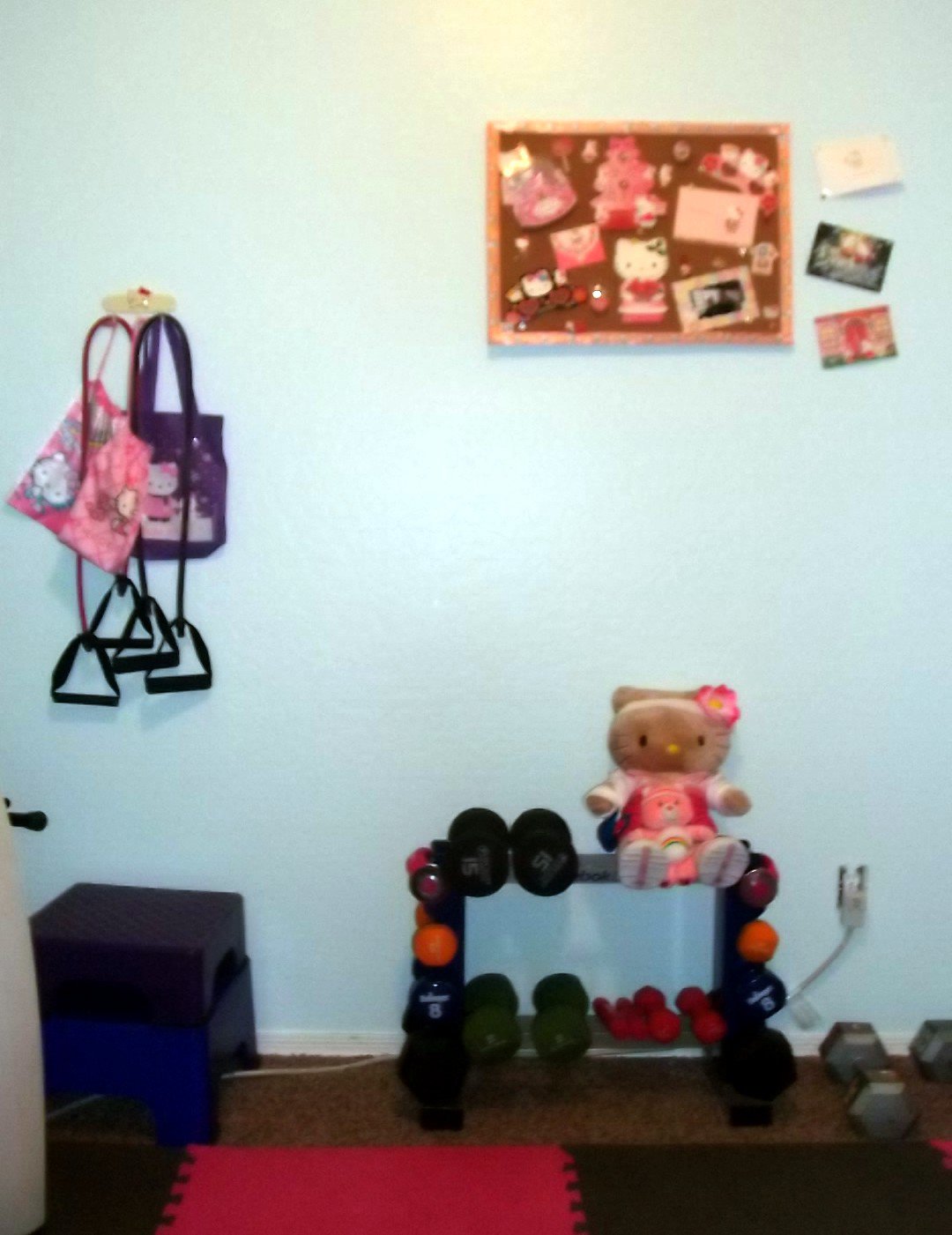 Fitness For The Rest of Us: HELLO KITTY GYM Pics & Jeanette Jenkins ...