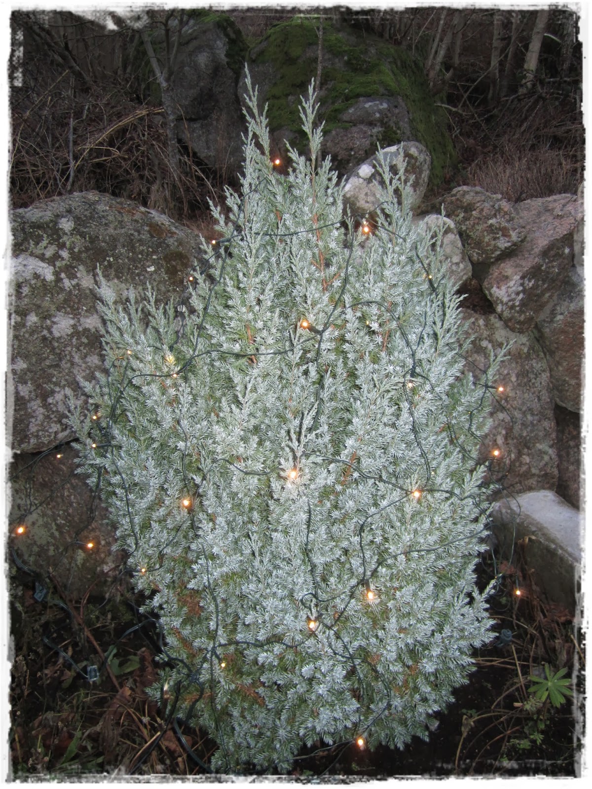 EnelidInterior : Julpynt ute och ett litet tips.