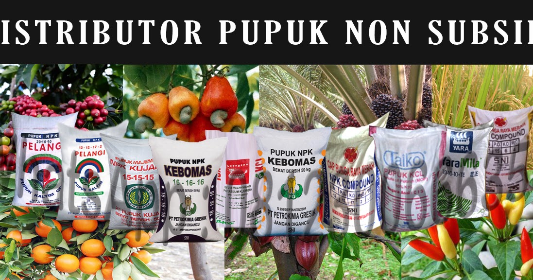 PENJUAL PUPUK NON SUBSIDI ASLI = npk/urea/tsp/kcl/organik/phonska plus ...