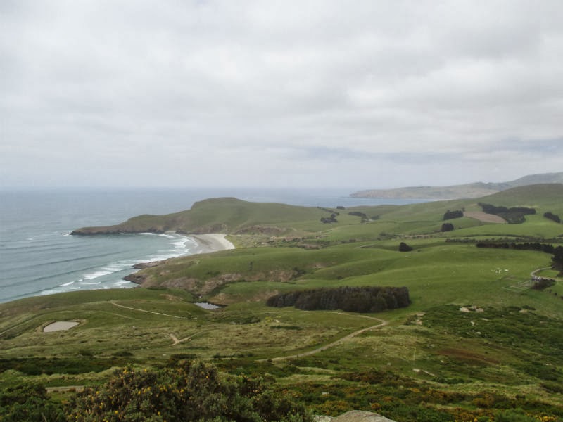 Neuseeland: Rohan (bzw. "MacKenzie Country")