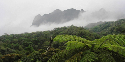 Crocker Range National Park ~ Visit Malaysia Year 2023