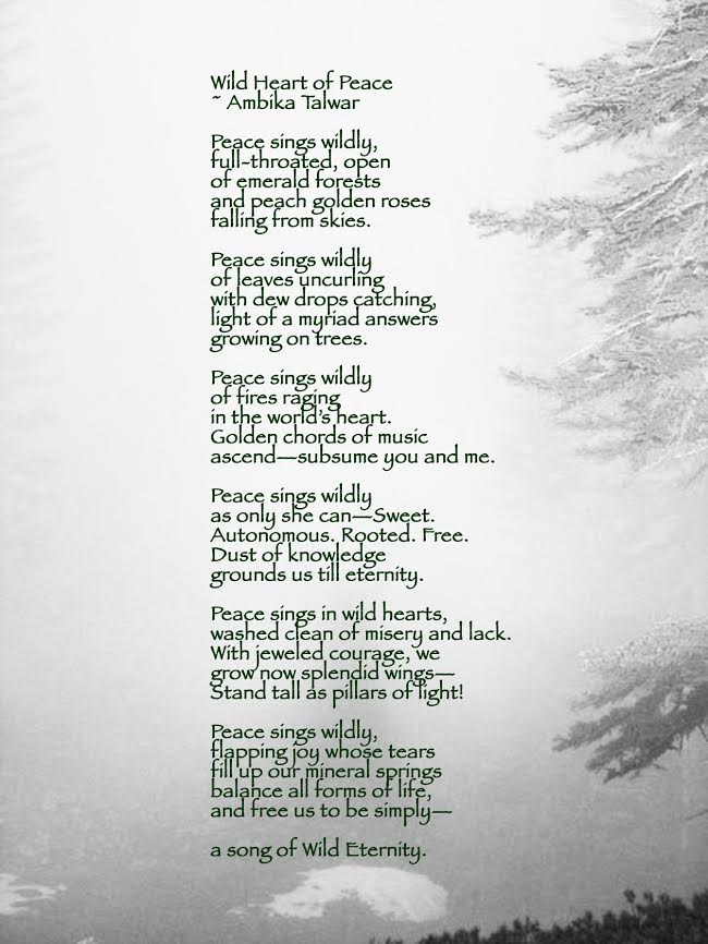 Village Poets of Sunland & Tujunga: Magic and Destiny with Cece Peri ...