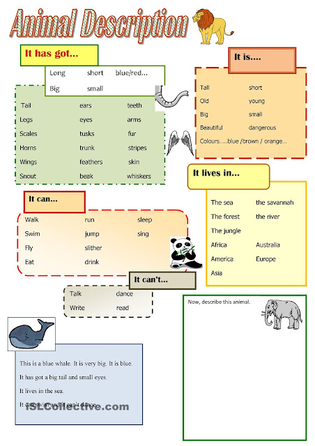 DESCRIBING ANIMALS