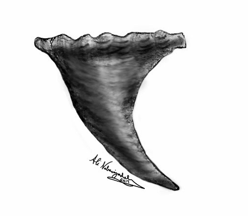 The Ornithischian Revolution: Stegosaurs, Ankylosaurs, and Kin: A Look ...