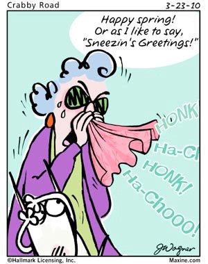 Tara Tyler Talks: Spring is not my favorite season