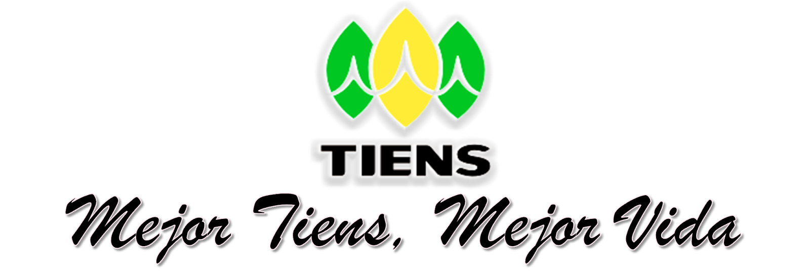 Modas del ejercicio: ¿Sale el pilates y entra el "Bootcamp"? ~ TIENS ...