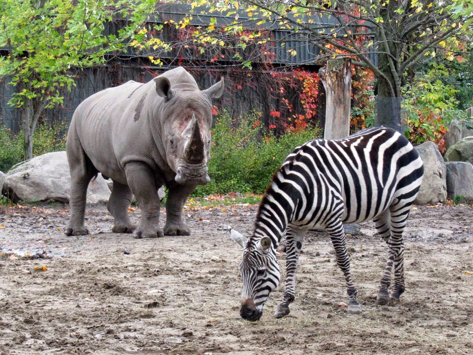 Geographically Yours: Granby, Quebec, Canada