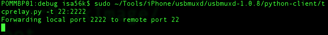 Isa56k The Ones And Zeros Remote Debugging Ios Using Lldb 4013
