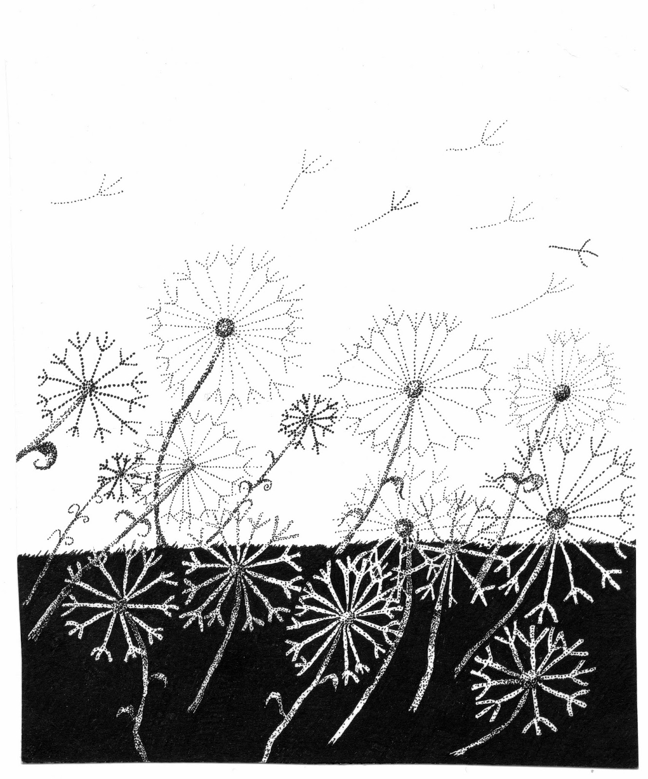 arī prieki: pienenes/одуванчики