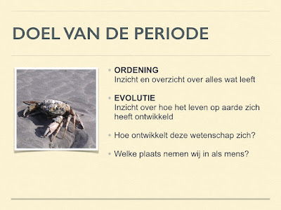Ordening en Evolutie: Ordening