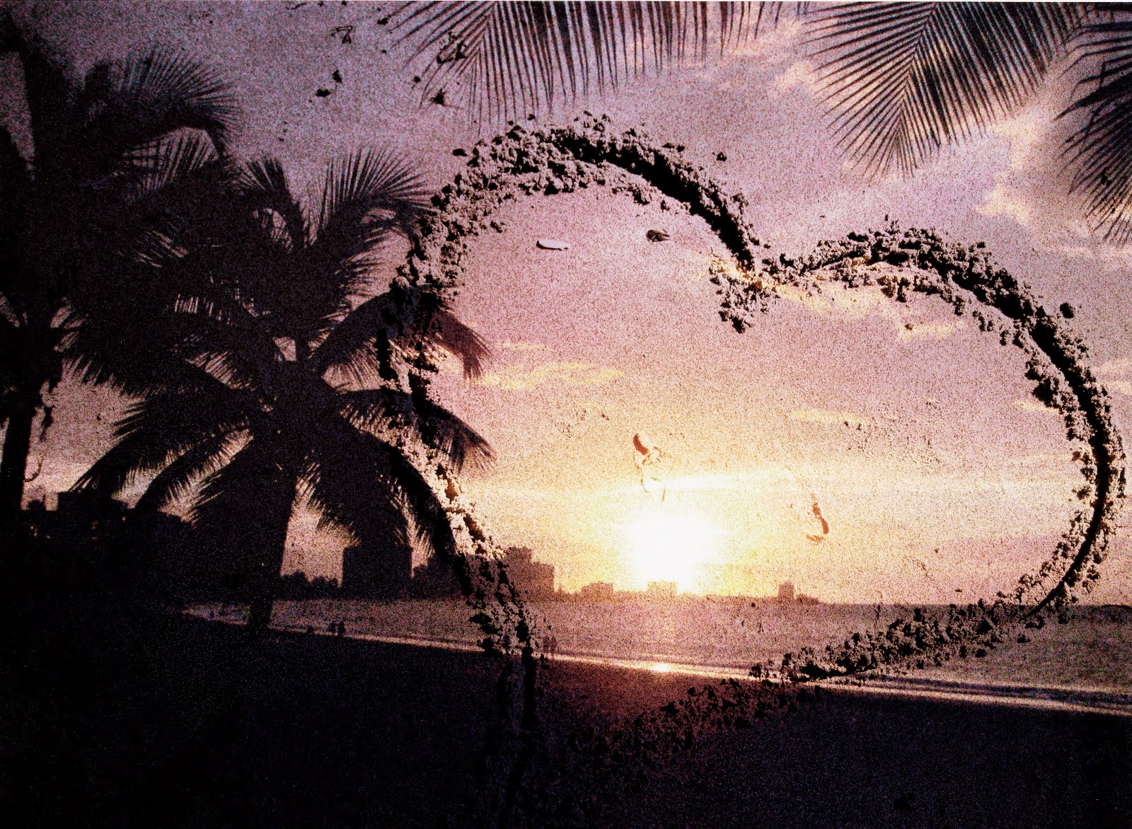 Artsy Butterfly: Sunset Love . . . New Digital Collage