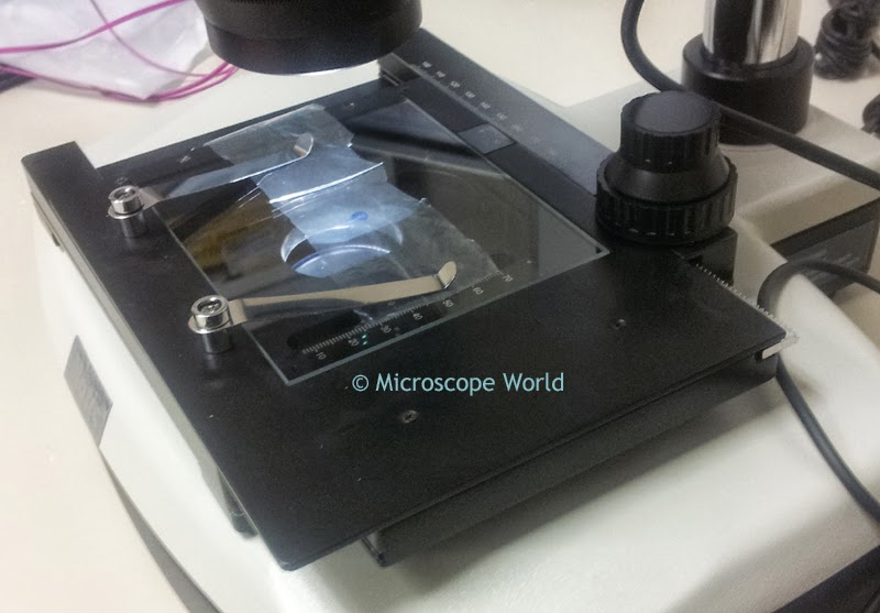 Microscope World Blog: Plastic Film Under the Microscope Microscope World Blog: Plastic Film Under the Microscope