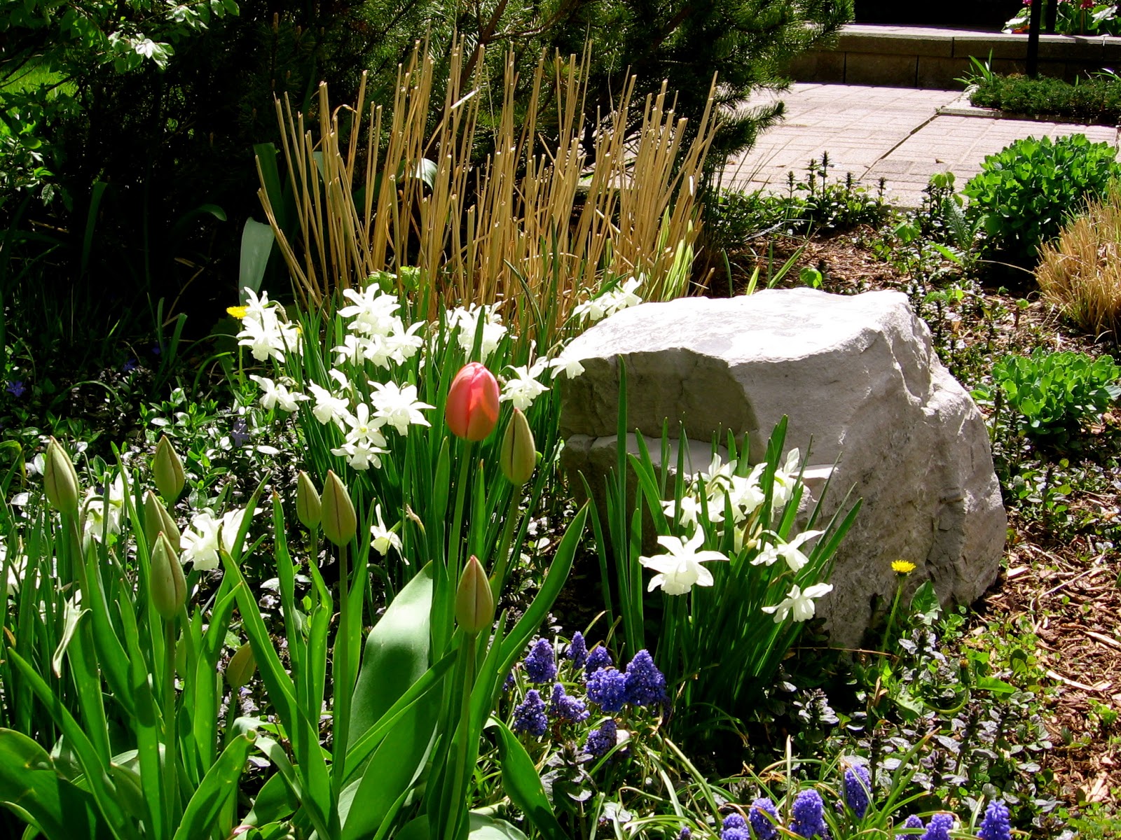 Astrid's Garden Design: Garden Design 1