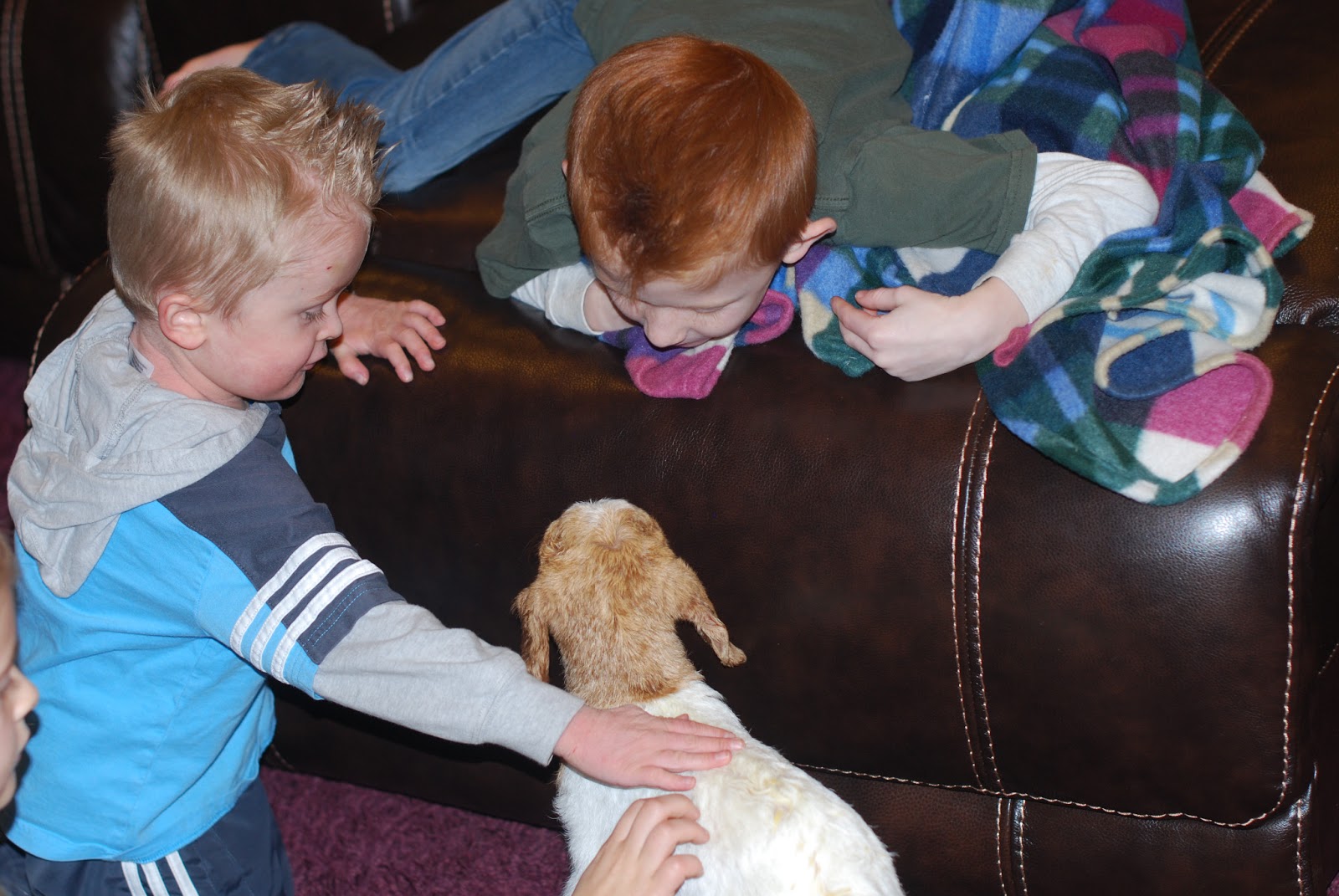 Lyman: Baby Goat Twins!