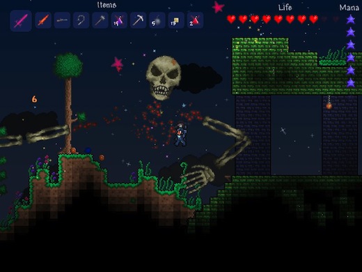 Terraria Collectors Edition System Requirements