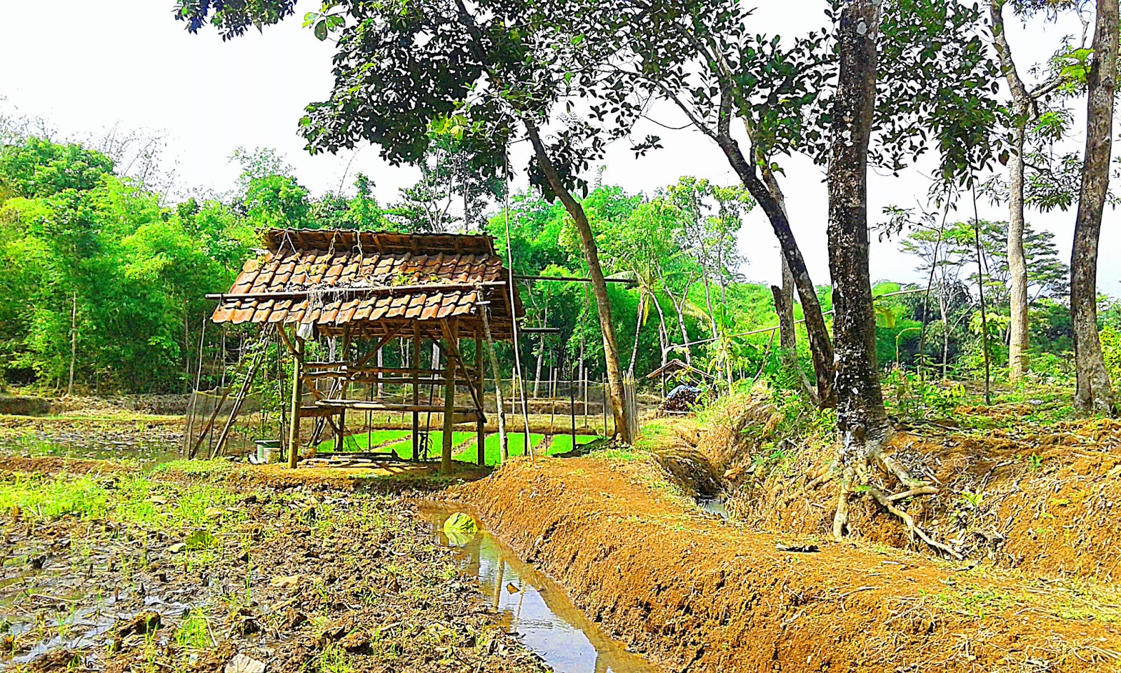Budaya Poskamling dan Ronda Tradisi Yang Harus Dijaga