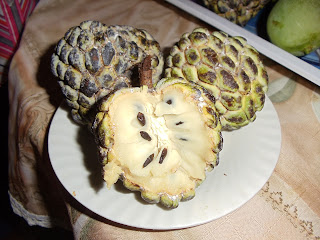 Guyana, meet Evanna. : Fruits of Guyana