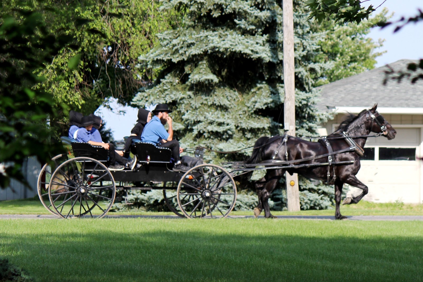 To Behold the Beauty: Amish Drive-Bys