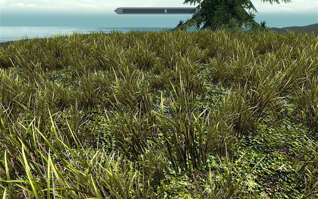 Hoddminir Mod Development: Skyrim - Image Library of Textures with 3D grass