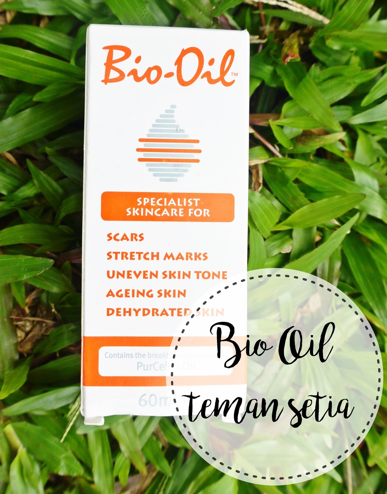 Tampil Cantik Setelah Melahirkan dengan Bio-Oil - Cerita Cha Tentang ...