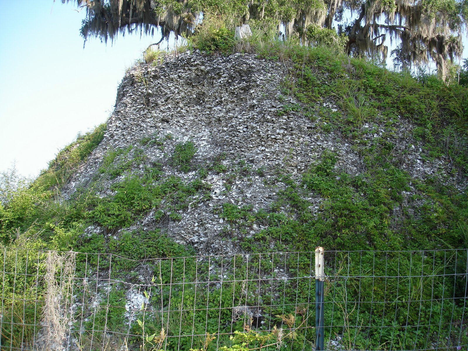 Blue Starr Gallery: Crystal River Mounds